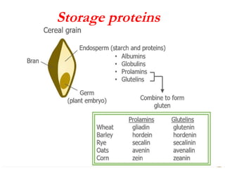 Classification of proteins based on function and solubility | PPTX