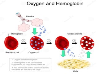 Classification of proteins based on function and solubility | PPTX