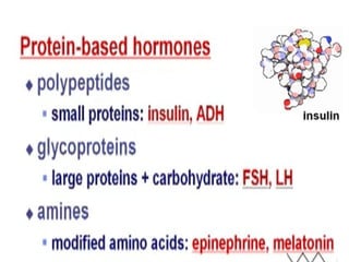 Classification of proteins based on function and solubility | PPTX