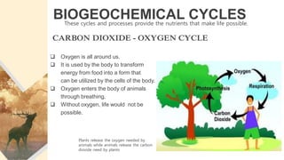 LS 2 12 The Ecosystem in Retrospect | PPTX