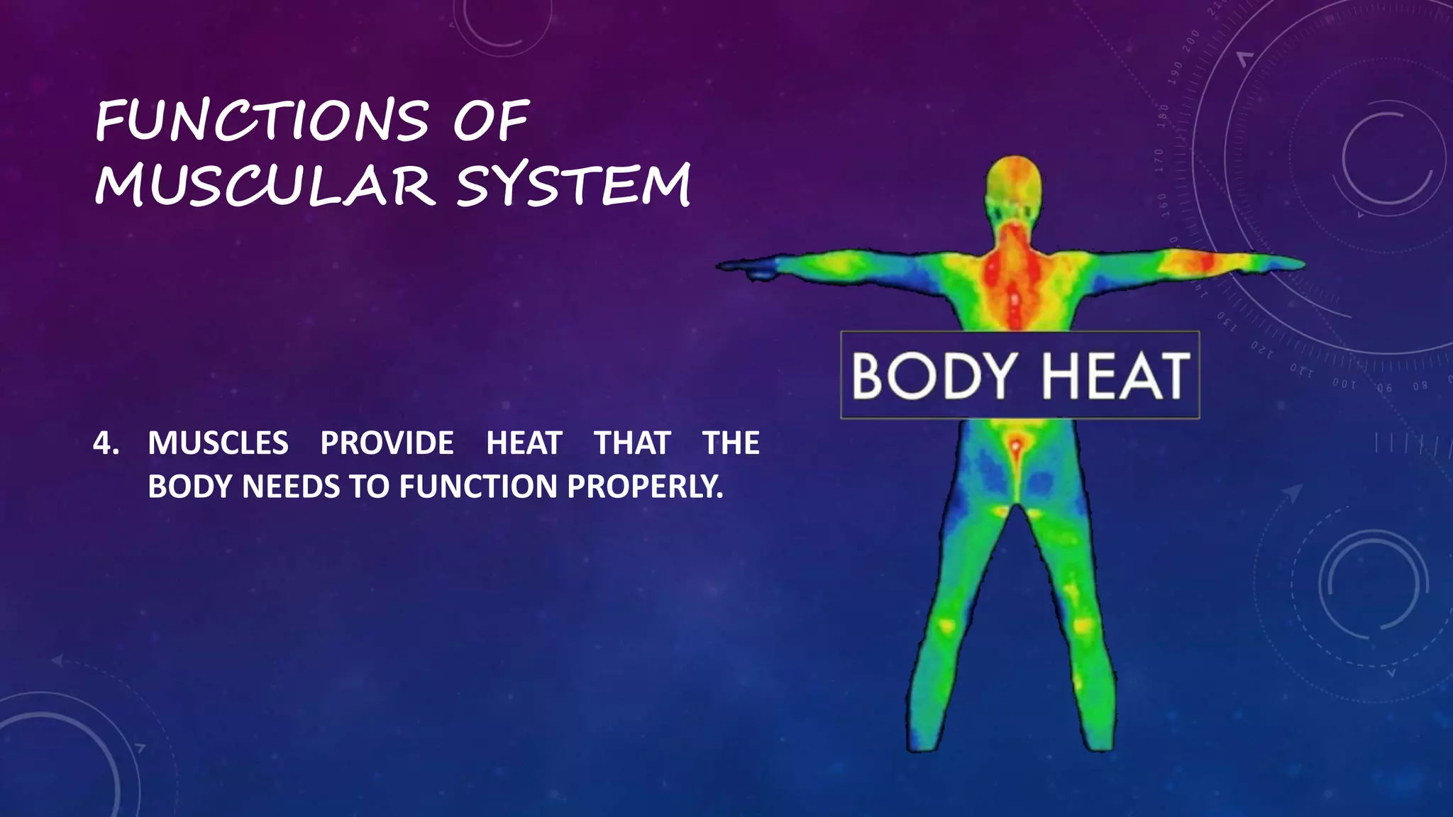 LS 2 2 The Musculatory System | PPTX