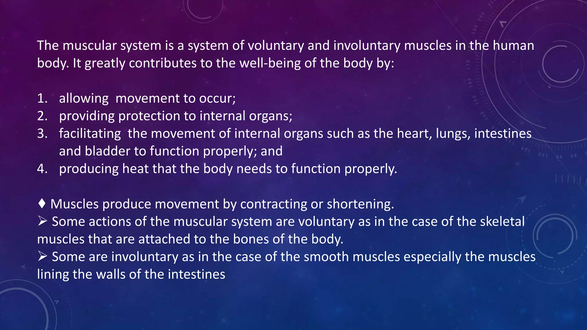 LS 2 2 The Musculatory System | PPTX