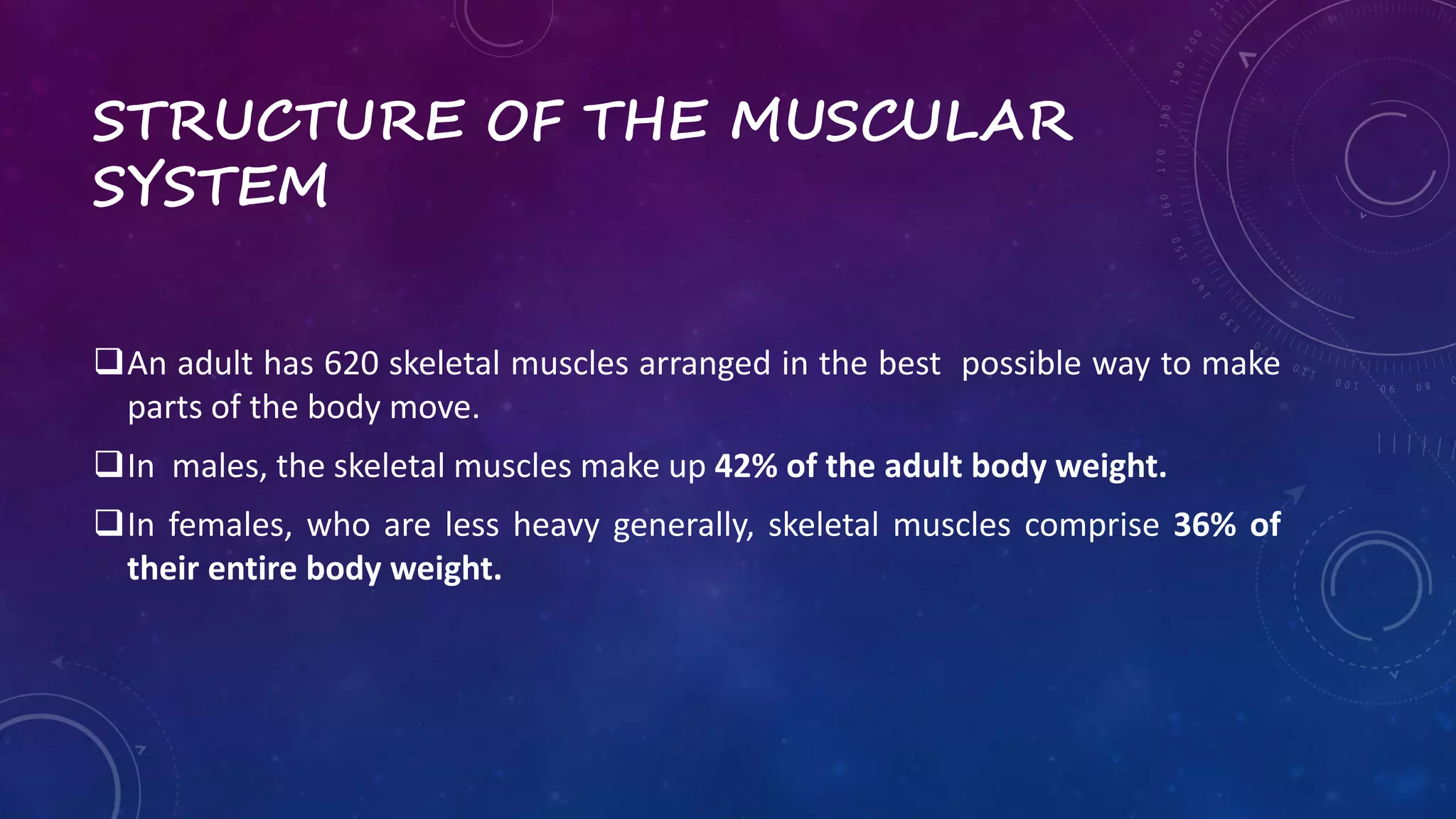 LS 2 2 The Musculatory System | PPTX