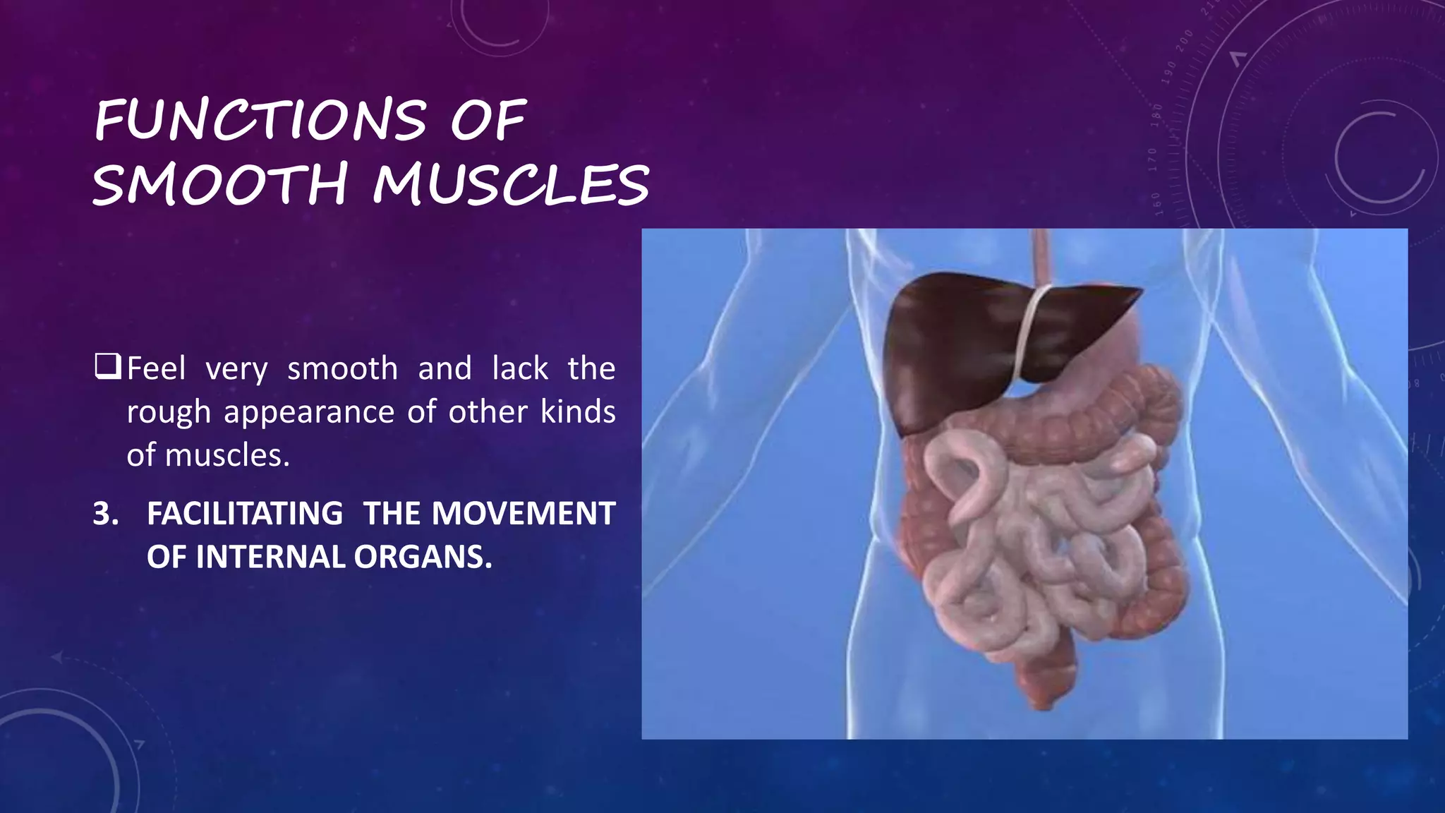 LS 2 2 The Musculatory System | PPTX