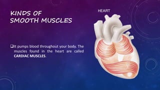 LS 2 2 The Musculatory System | PPTX