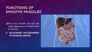 LS 2 2 The Musculatory System | PPTX