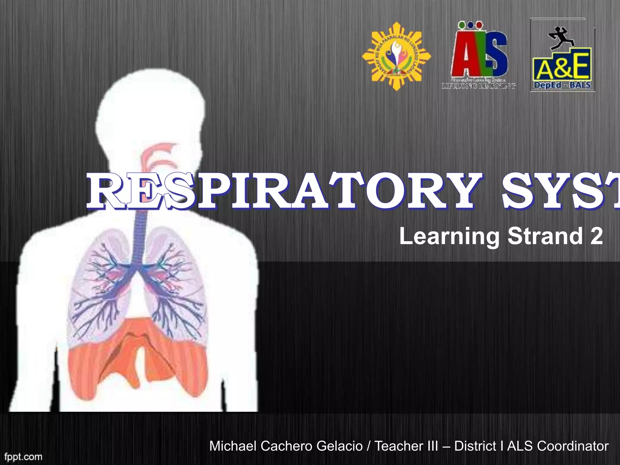 LS 2 3 The Respiratory System | PPTX
