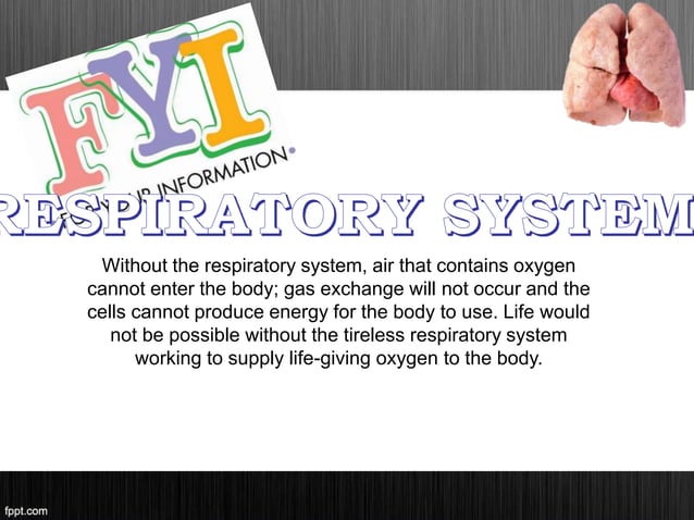 LS 2 3 The Respiratory System | PPT