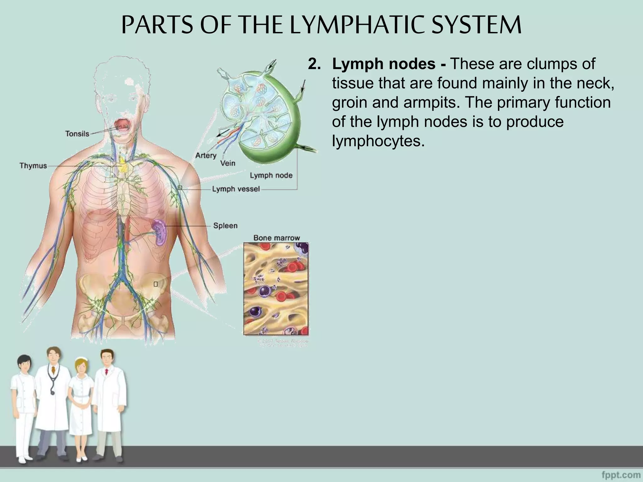 LS 2 9 The Lymphatic System | PPTX