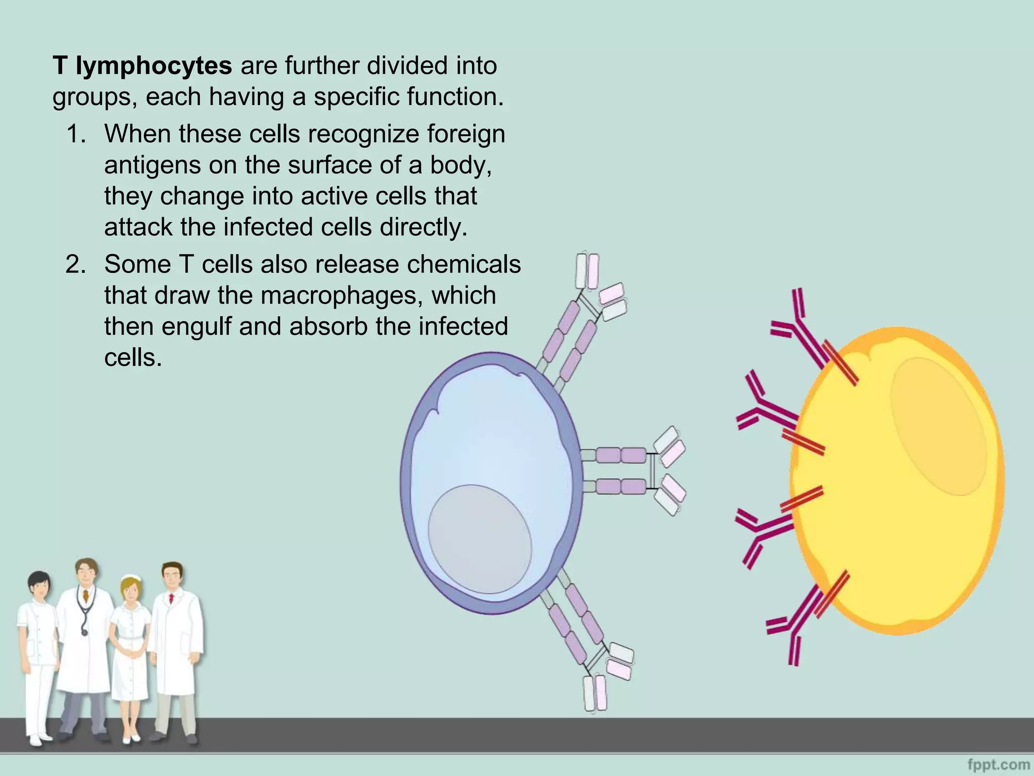 LS 2 9 The Lymphatic System | PPTX