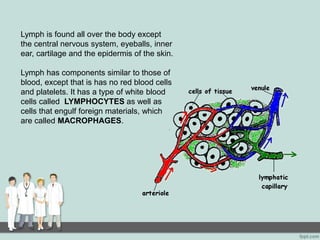 LS 2 9 The Lymphatic System | PPTX