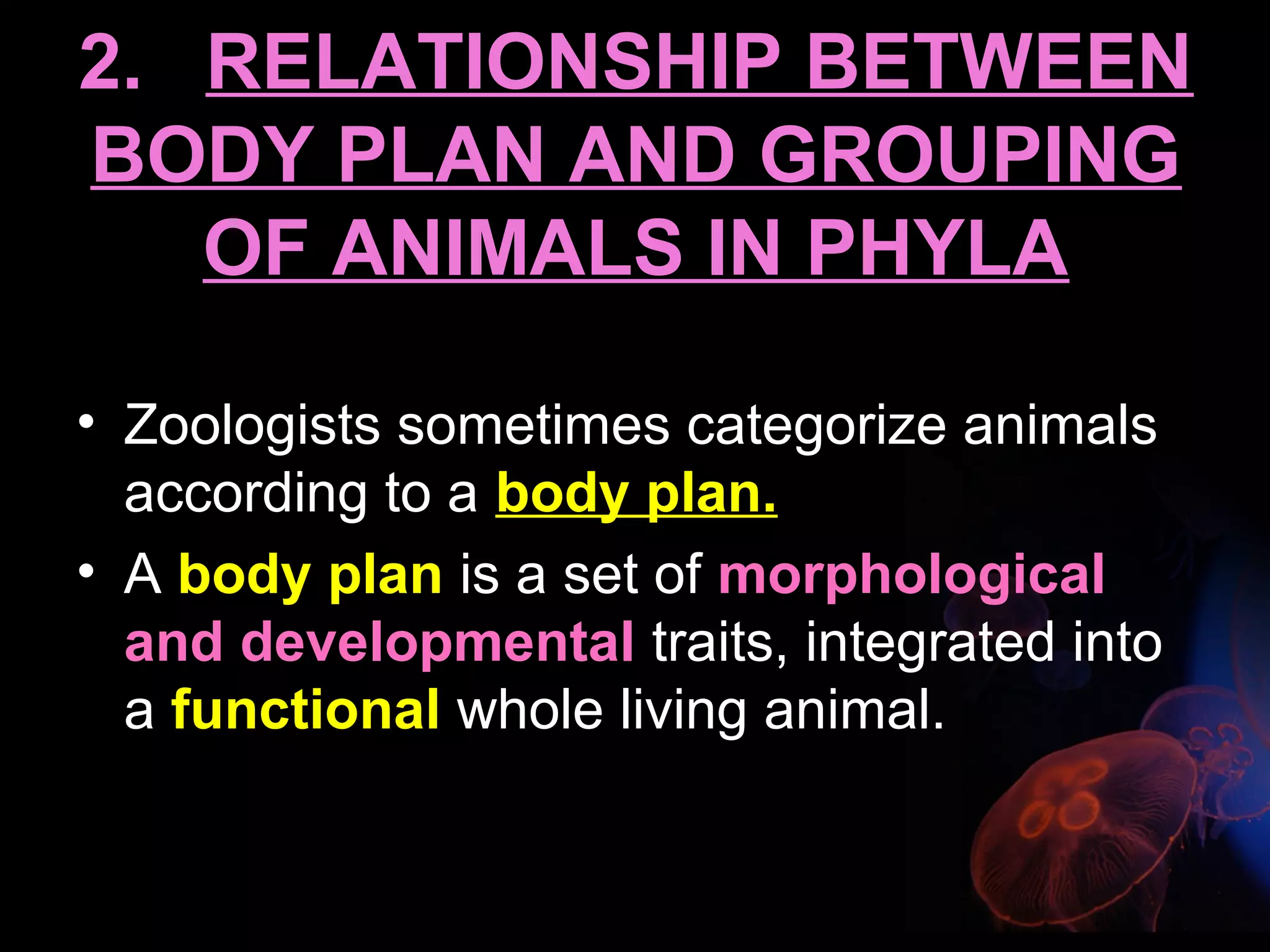 Ls2 afet unit 4 biodiversity of animals invertebrates | PPT