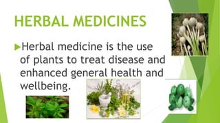 LS2 HERBAL MEDICINES PPT.pptx