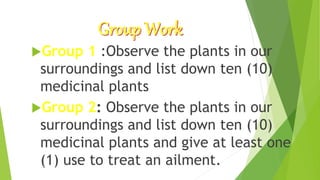 LS2 HERBAL MEDICINES PPT.pptx