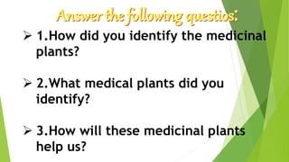 LS2 HERBAL MEDICINES PPT.pptx