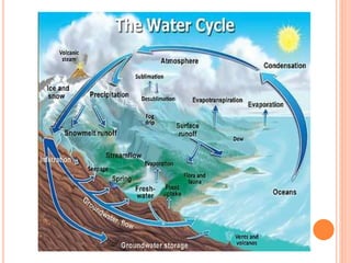 major water bodies | PPTX