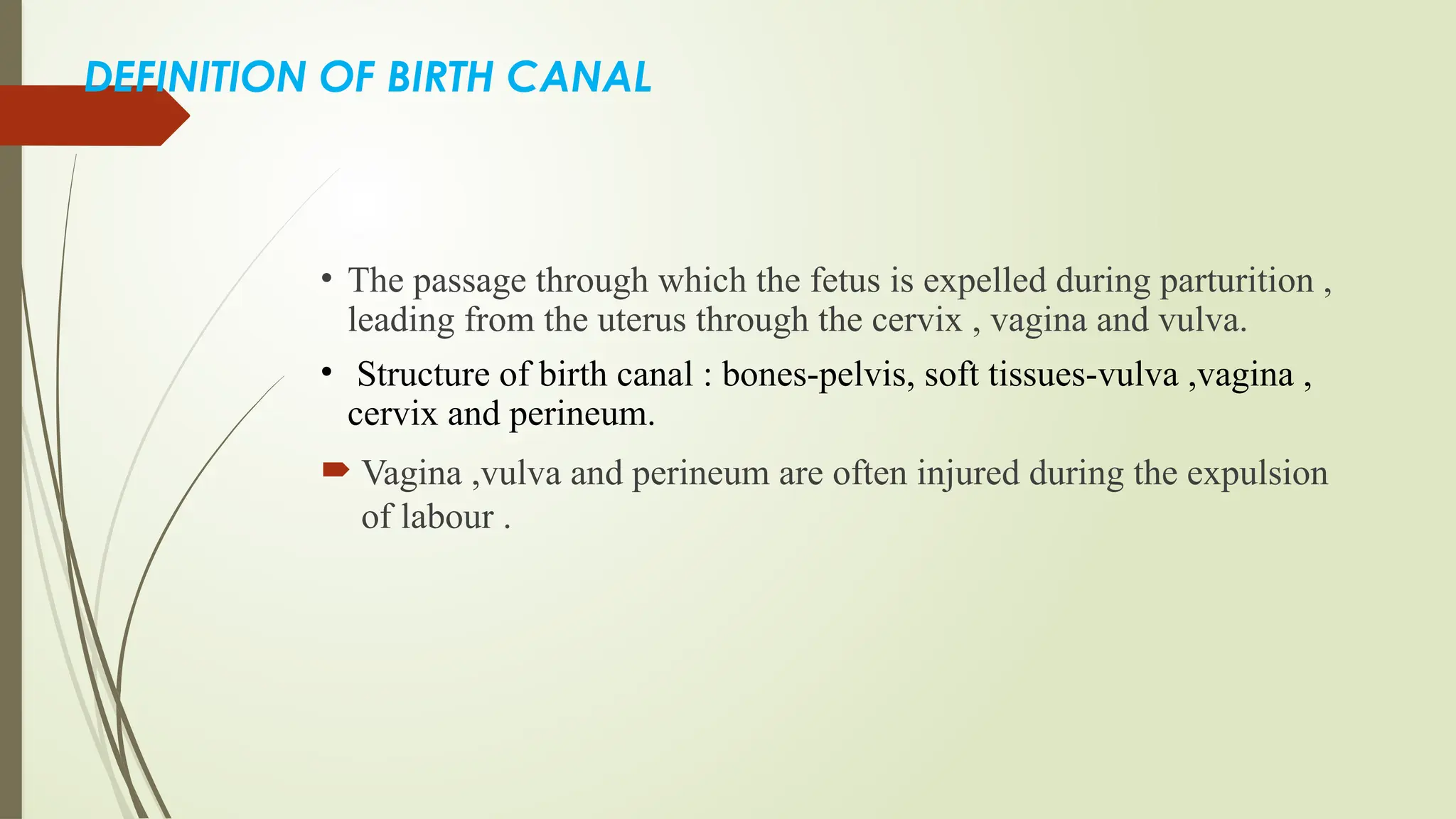 COMPLICATIONS OF THE THIRD STAGE OF LABOR :INJURIES_TO_THE_BIRTH_CANAL.pptx