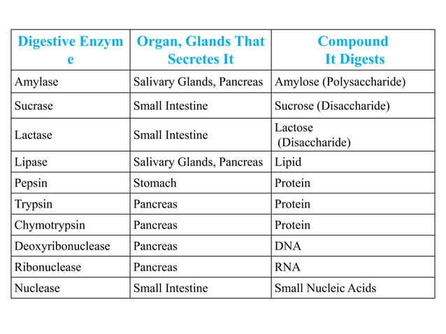 Digestion absorptiondigestive secretions | PPT