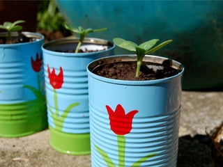 Localisation and Emotionally Durable Design | PPT