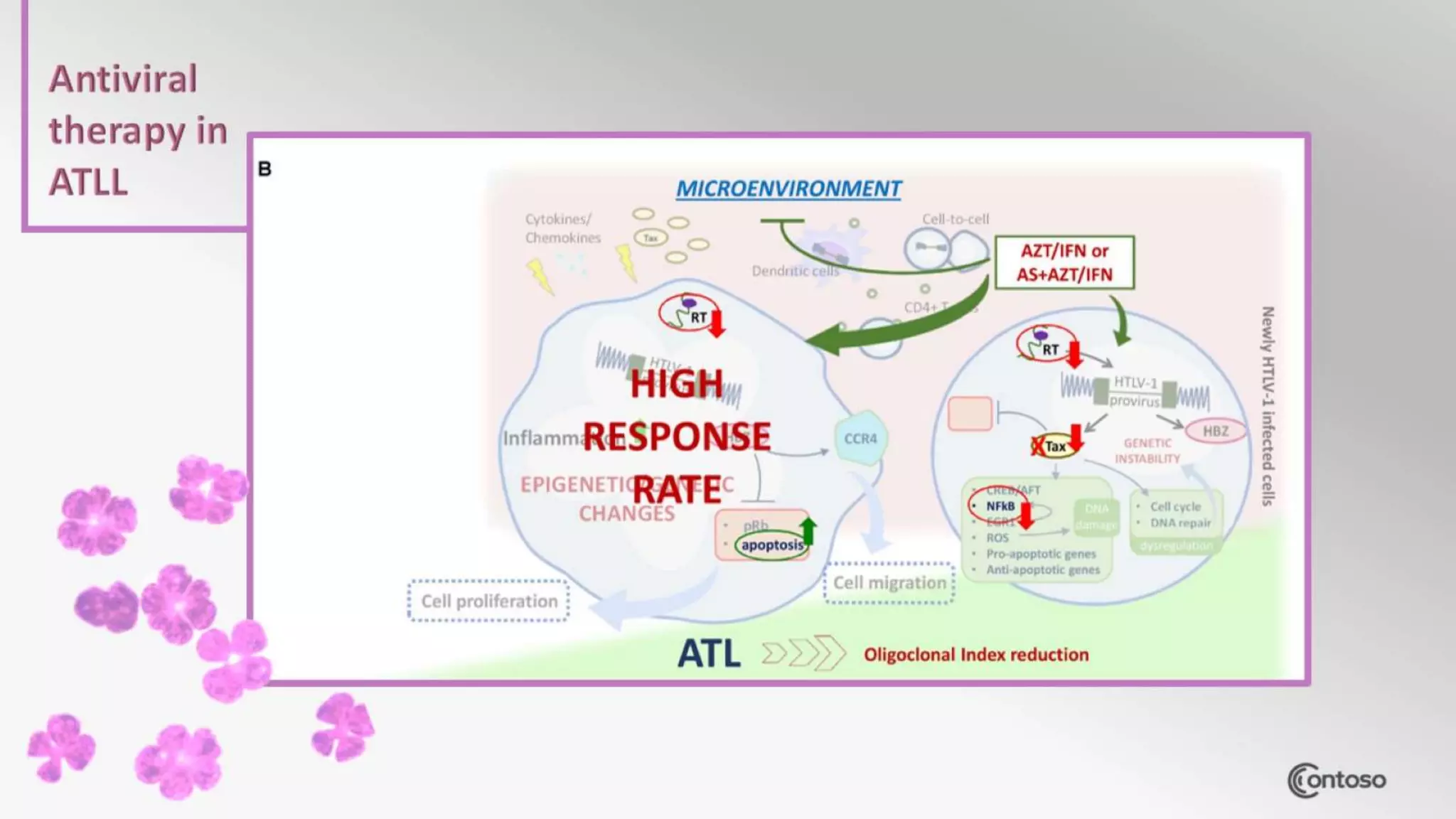 Leukemic stem cell and ATLL | PPT