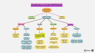 Leukemic stem cell and ATLL | PPTX