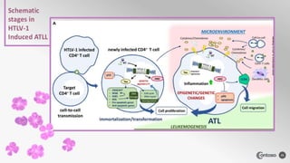 Leukemic stem cell and ATLL | PPT