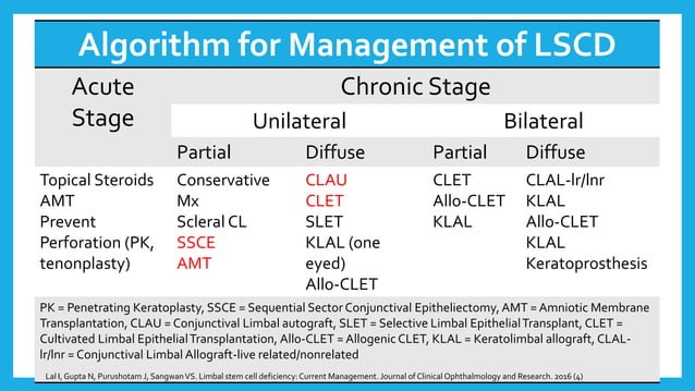 Limbal Stem Cell Deficiency & its management | PPTX