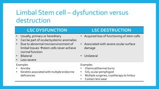 Limbal Stem Cell Deficiency & its management | PPTX