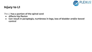 An Overview of Lumbar Spinal Cord Injury | PPTX