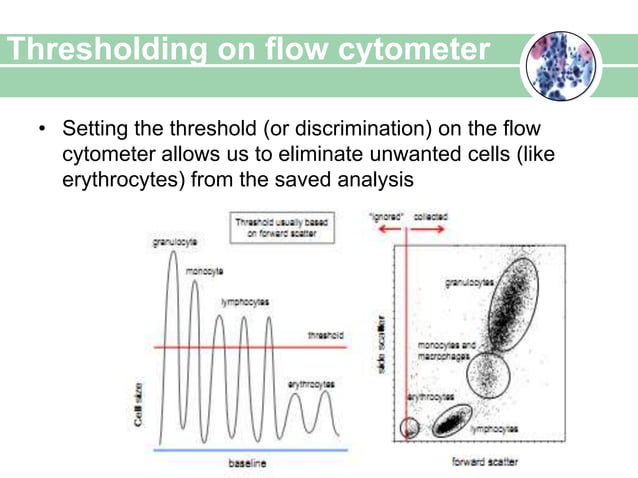 Laser scanning cytometry and liquid based cytology | PPT