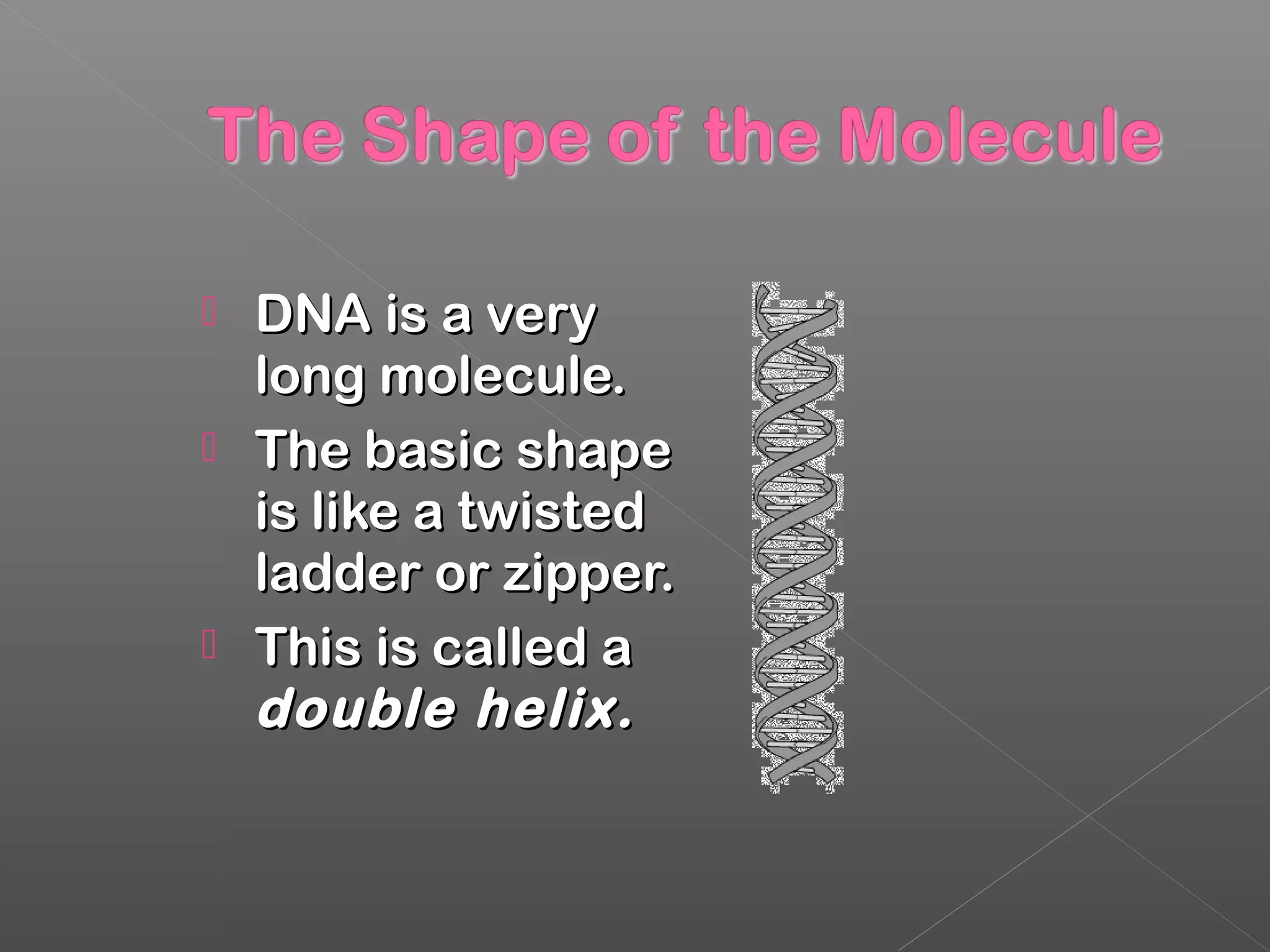 Dna struture | PPT