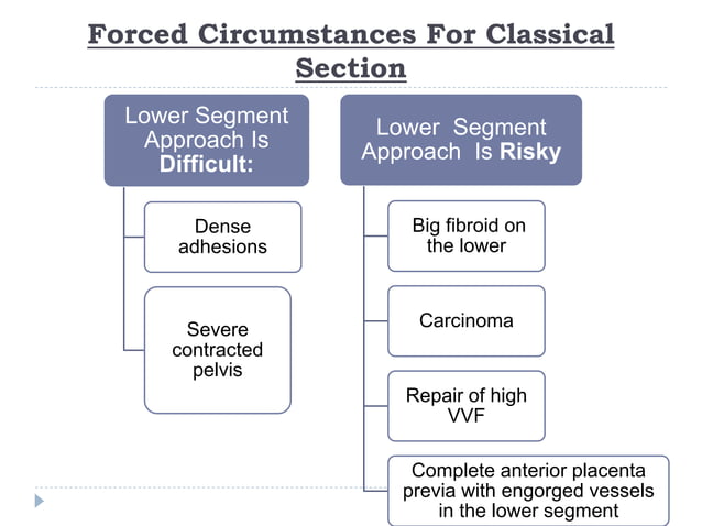 LSCS | PPTX | Pregnancy | Reproductive Health