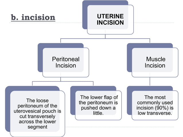LSCS | PPTX | Pregnancy | Reproductive Health