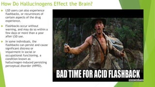 Lsd | PPTX