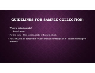 Lumpy Skin Disease | PDF