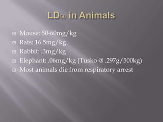 LSD Presentation | PPTX