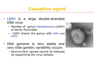 Lumpy Skin Disease: Clinical Picture, Prevention and Control | PPT