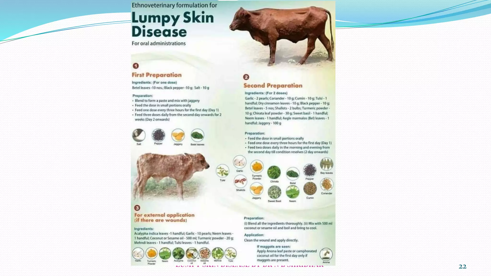 LUMPY SKIN DISEASE : AN UPDATE ON TREATMENT AND VACCINATION | PDF