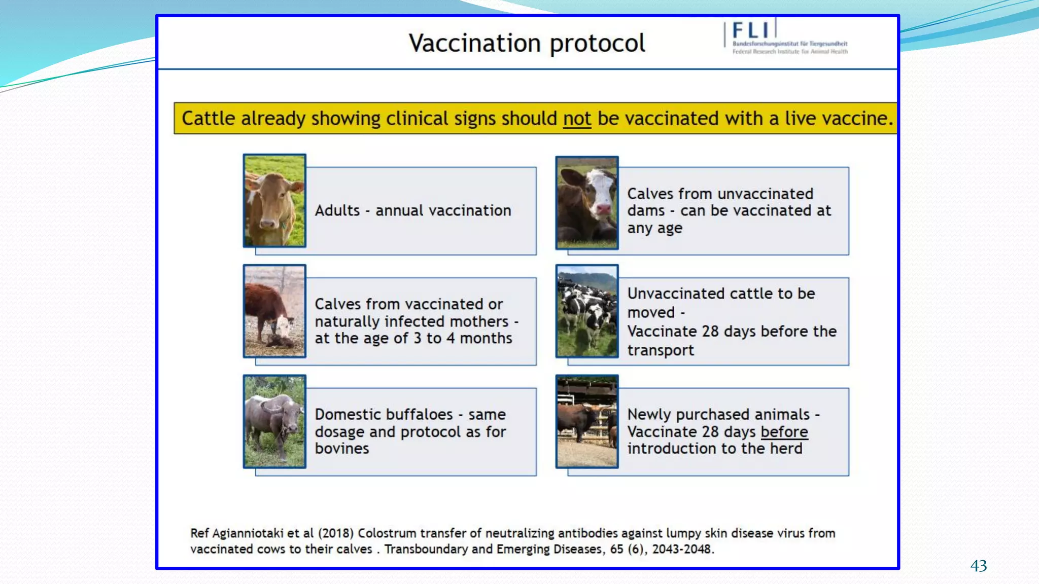 LUMPY SKIN DISEASE : AN UPDATE ON TREATMENT AND VACCINATION | PDF