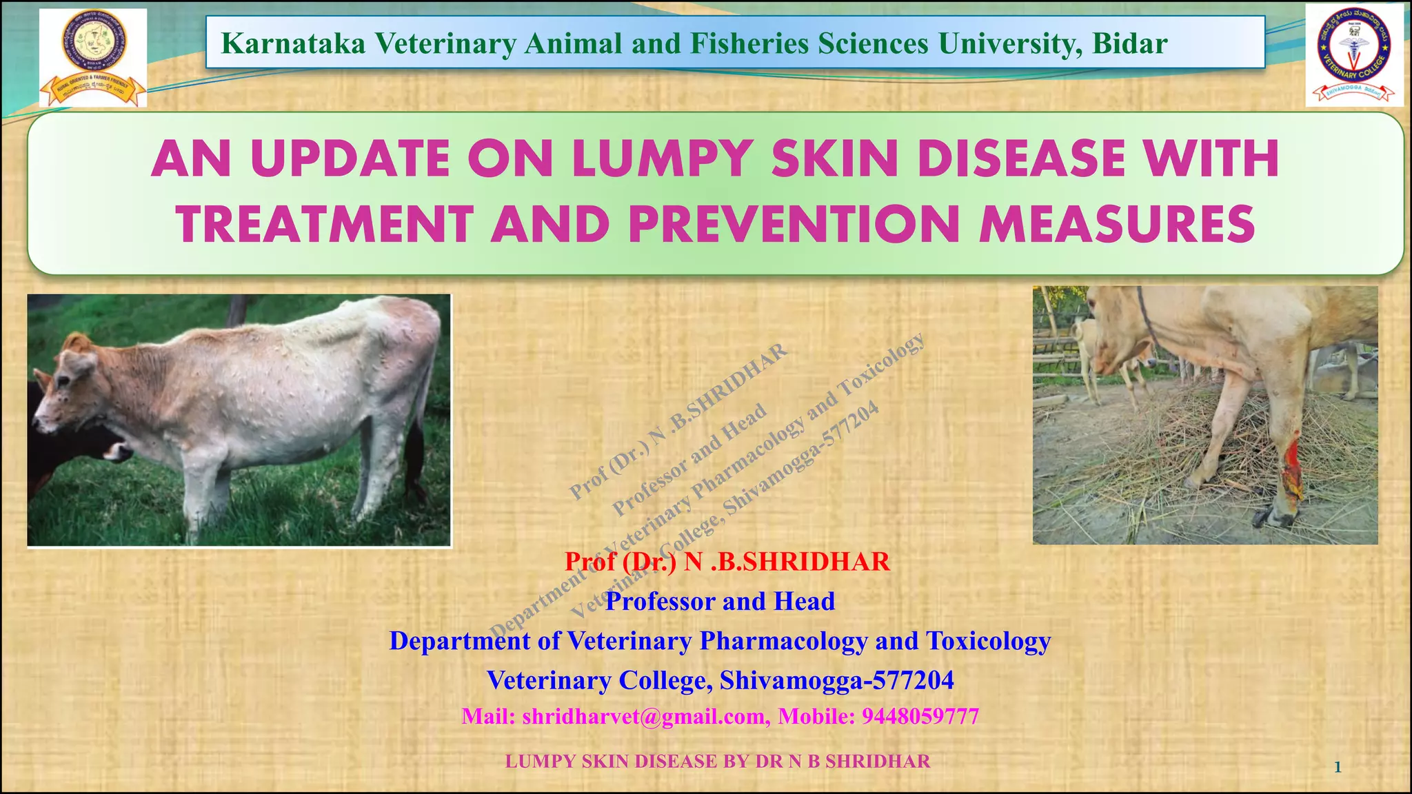 AN UPDATE ON LUMPY SKIN DISEASE WITH TREATMENT AND PREVENTION MEASURES ...
