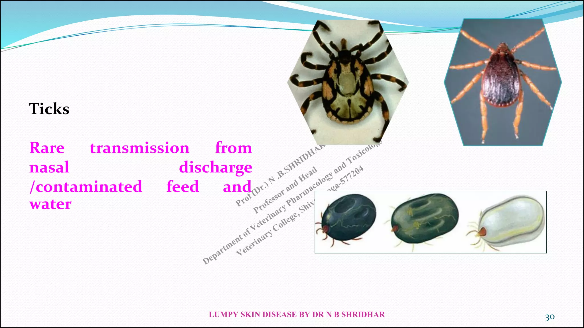 AN UPDATE ON LUMPY SKIN DISEASE WITH TREATMENT AND PREVENTION MEASURES ...