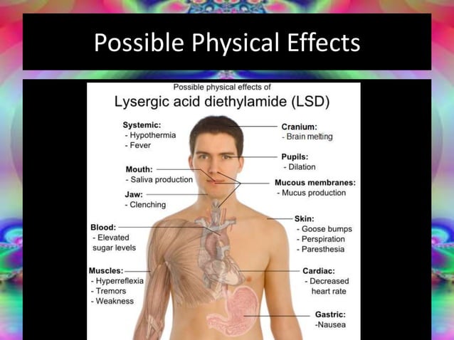 LSD: The Basics | PPTX | Pharmaceutical Drugs | Medical Health