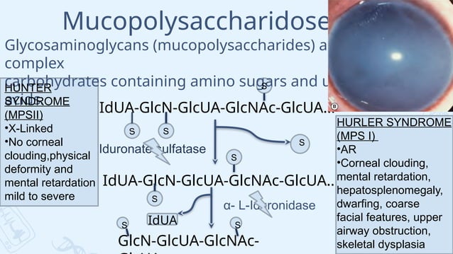 Lysosomal Storage Disorders --- Harrison. | PPTX