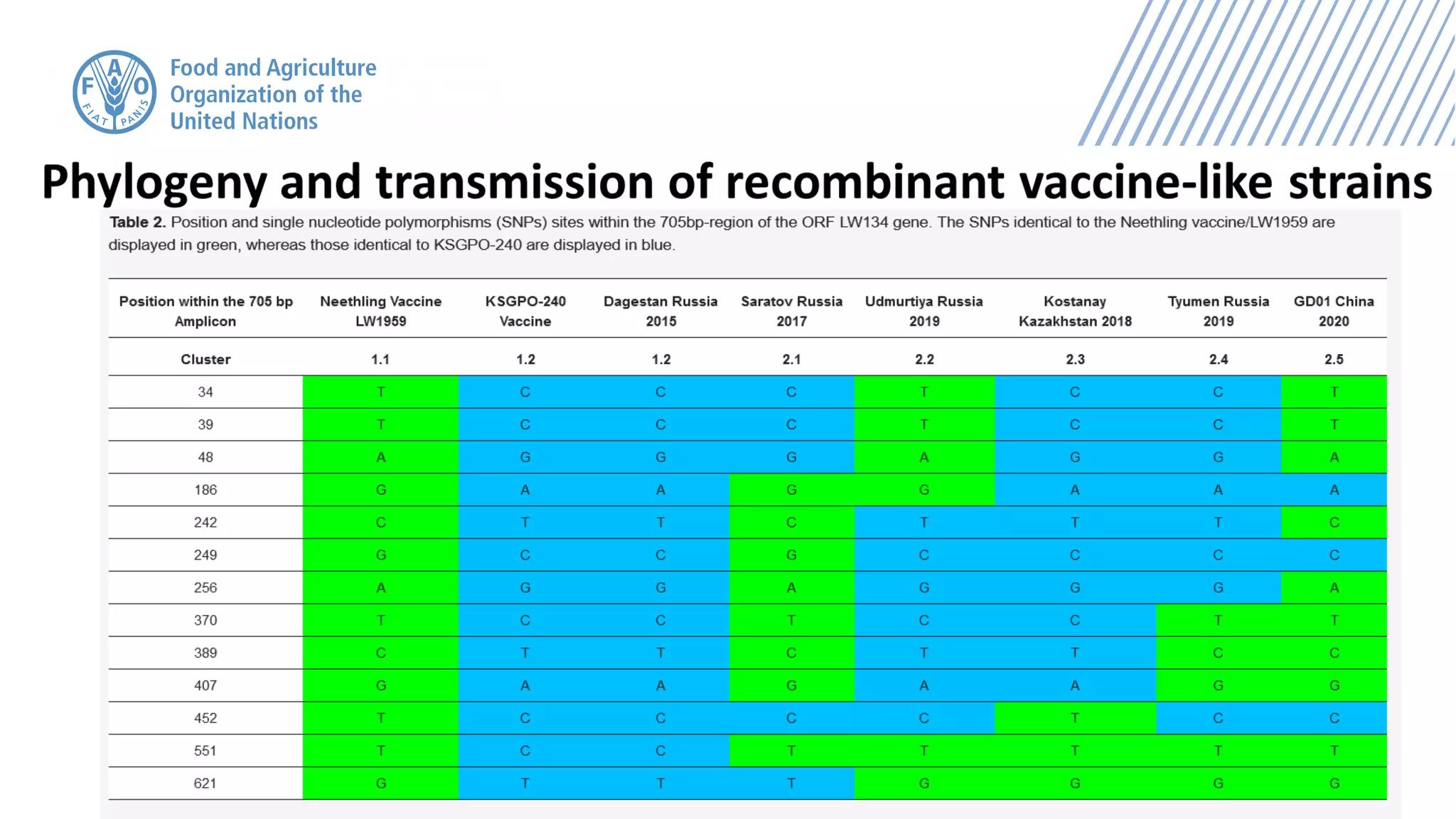 LSD symposium - A. Sprygin - Subclinical infection its role in ...