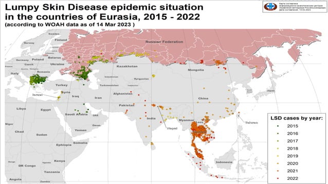 LSD symposium - A. Sprygin - Subclinical infection its role in ...