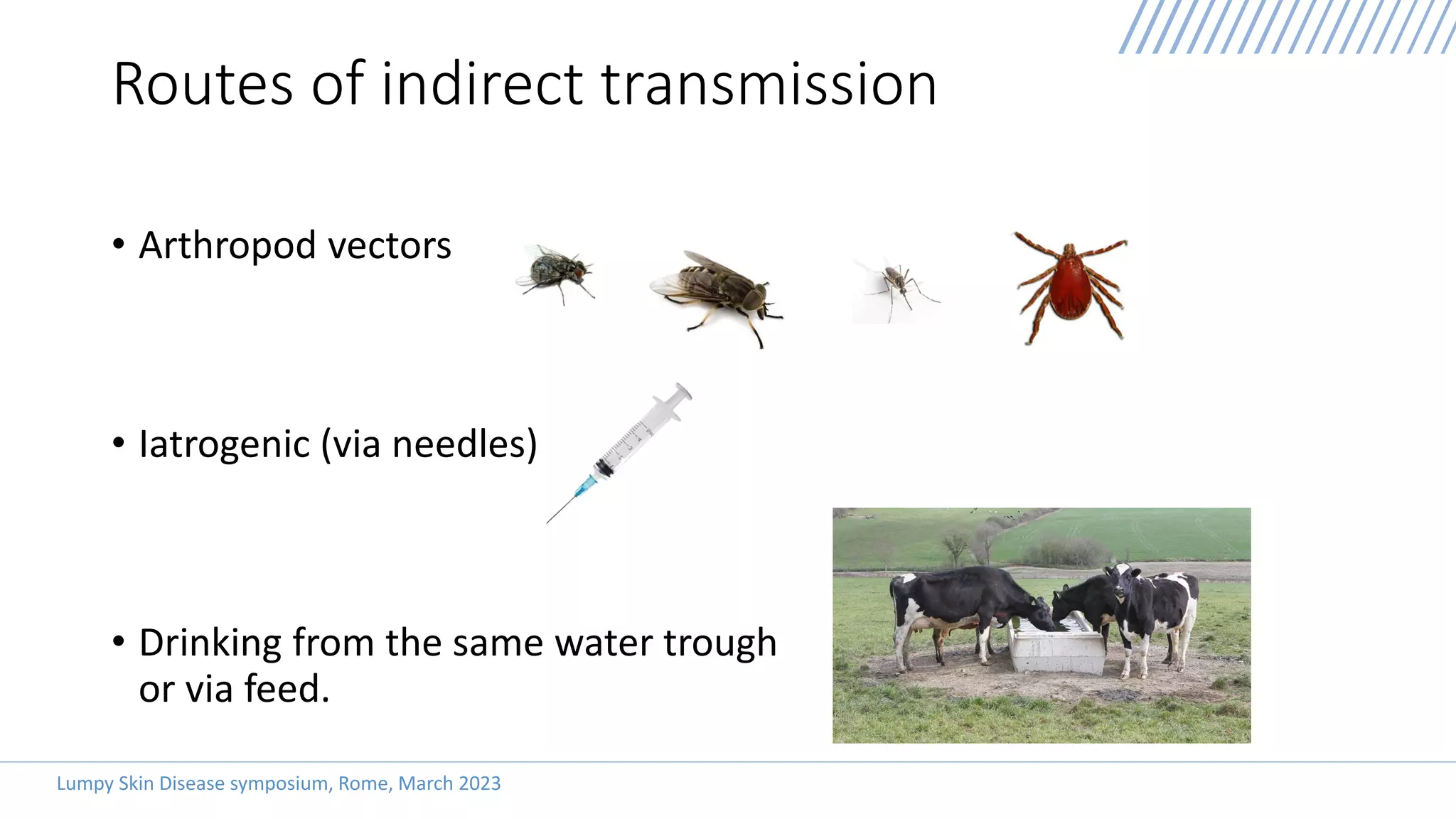 LSD symposium - E. Klemen - Modes of transmission of lumpy skin disease ...