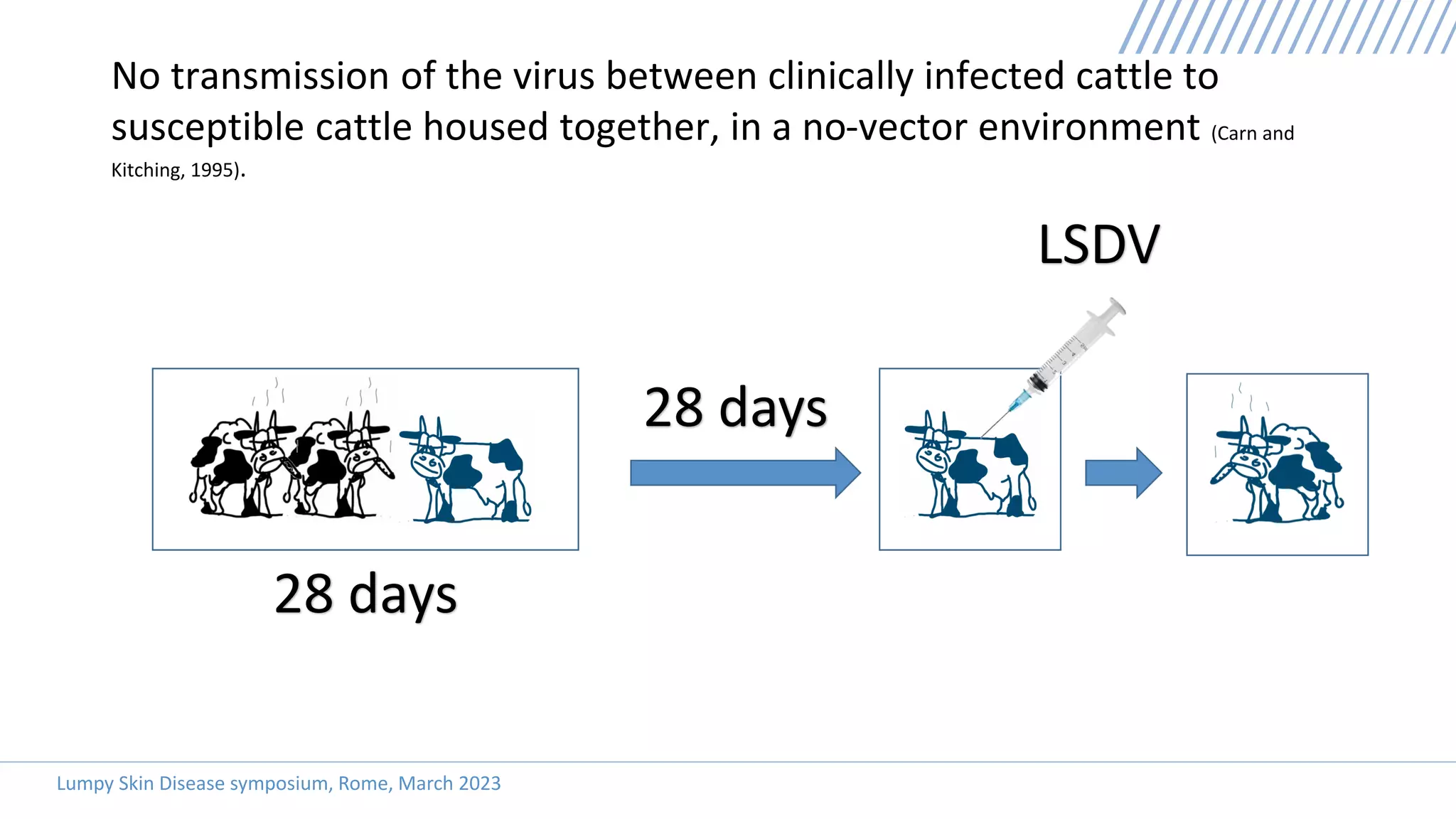 LSD symposium - E. Klemen - Modes of transmission of lumpy skin disease ...