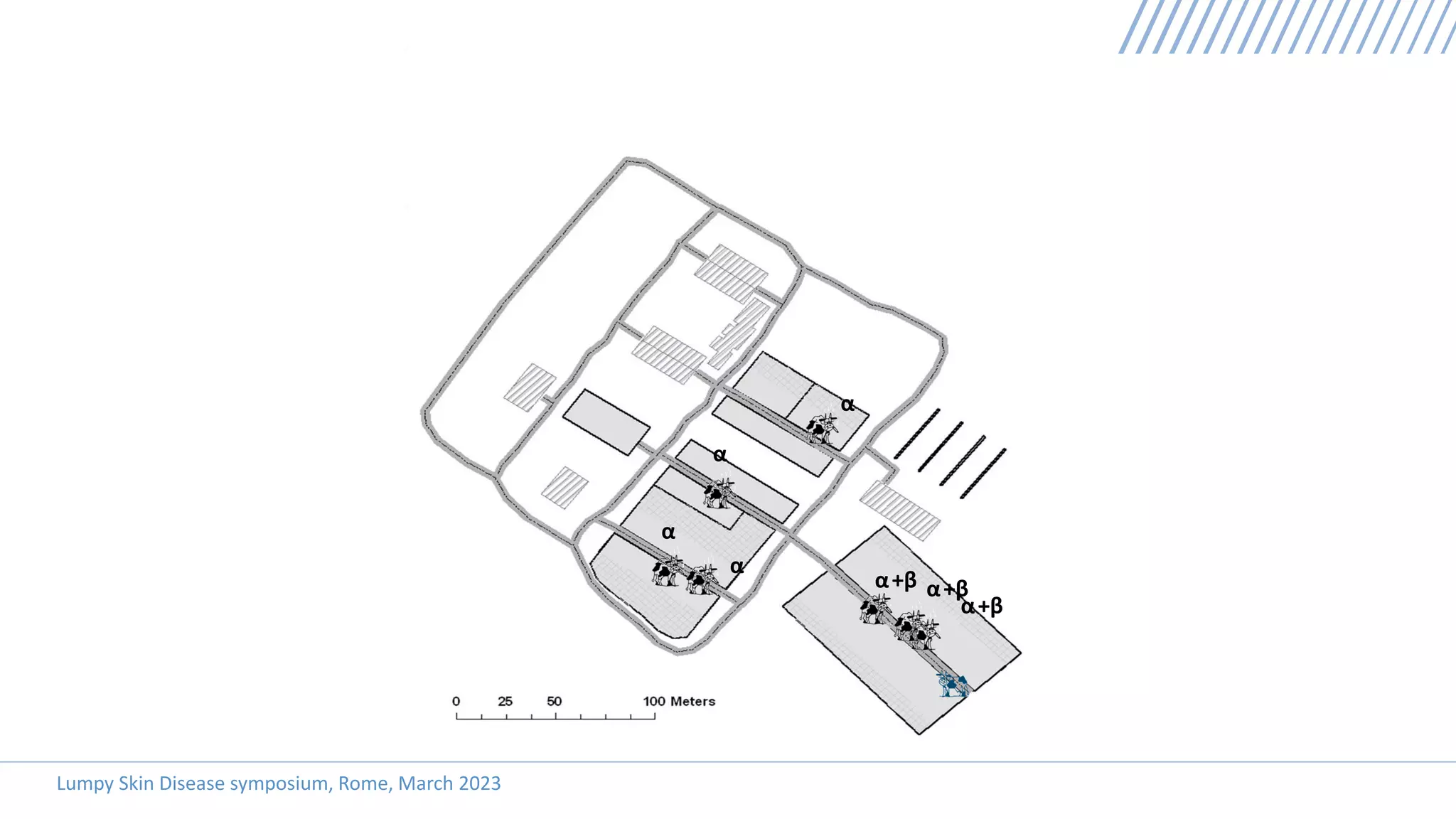 LSD symposium - E. Klemen - Modes of transmission of lumpy skin disease ...