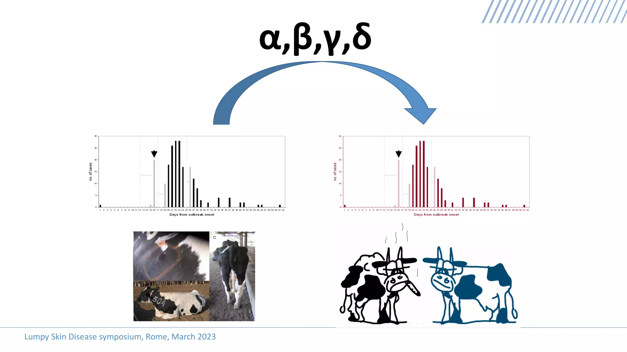 LSD symposium - E. Klemen - Modes of transmission of lumpy skin disease ...