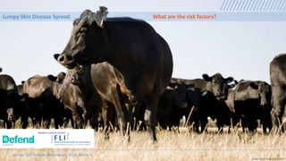 LSD symposium - H. Bergmann - Systemic review and expert ranking of ...